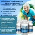 Healthy Kidney Shield + Restore Supplement: Support Health Complex, 4 ...