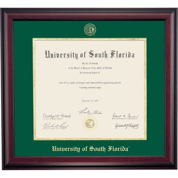 OCM Diploma Frame for University of South Florida USF, 19" x 21 ...