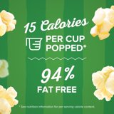 Orville Redenbacher's SmartPop! Mini Bags Kettle Corn Microwave Popcorn ...