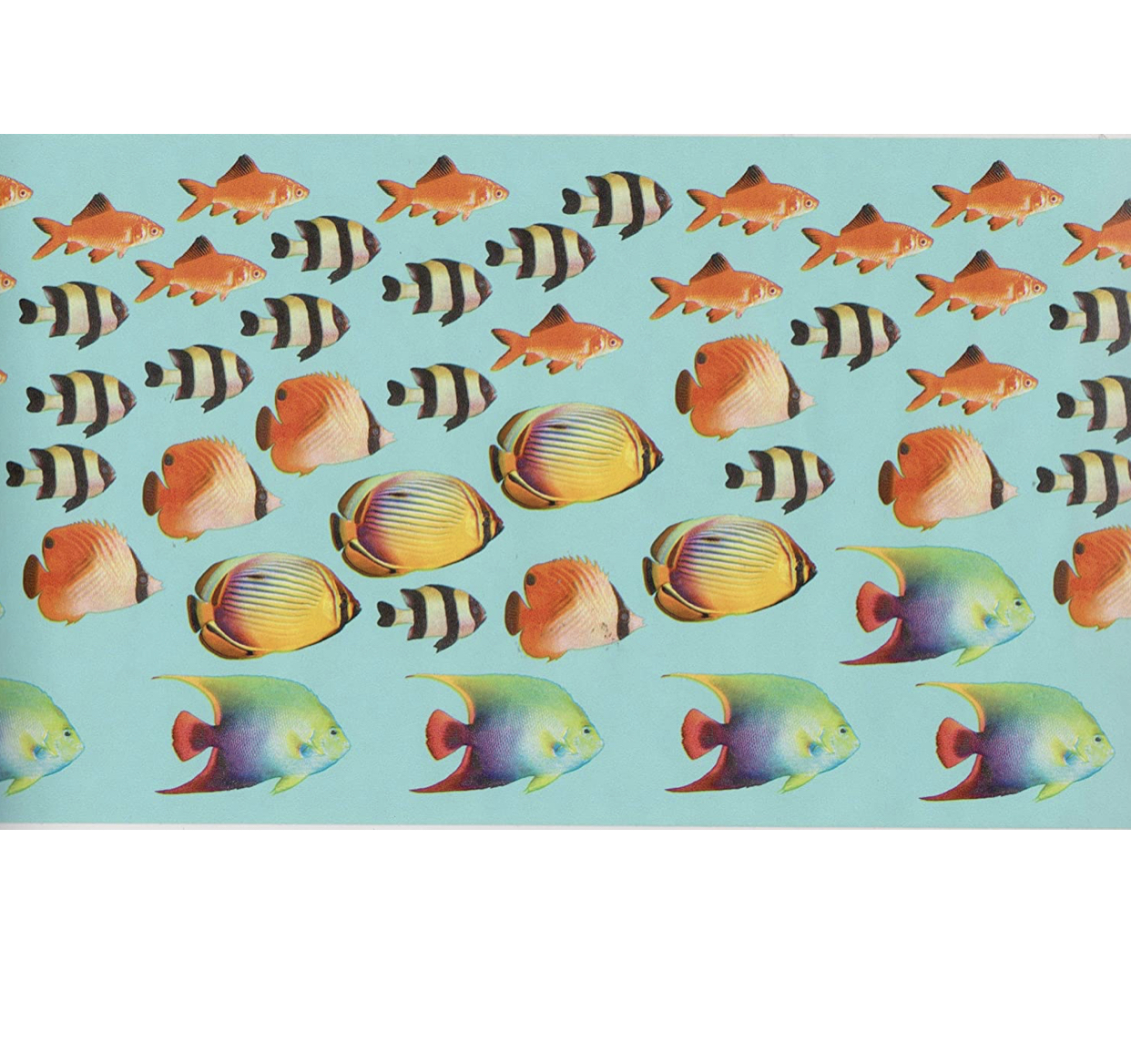 Aqua Tropical Colorful Fish Bowl Wall Paper Border 5 Yards - Walmart.com