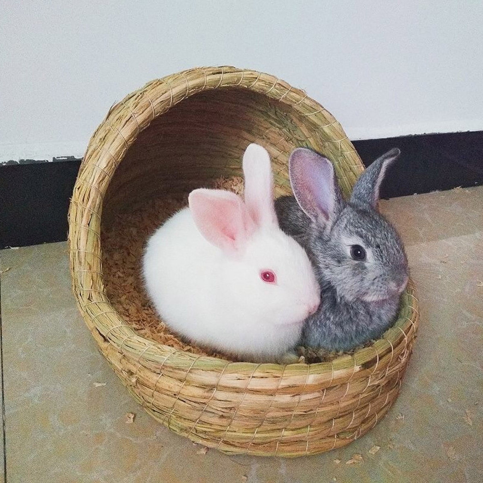 Click here for Wifklsiipg Rabbit Grass House Natural Hand Woven S... prices