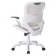 OSP Home Furnishings Riley Office Chair with White Mesh Seat and Back ...