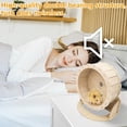 Hamster Wheels Wooden Silent Running Wheel for Gerbil, Mice, Guinea ...