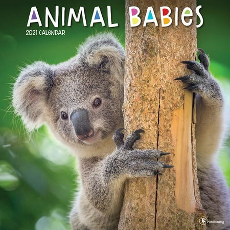 2021 Animal Babies-Incredibly Cute Wall Calendar | Walmart Canada