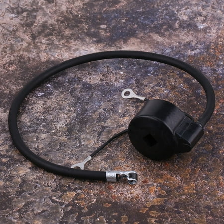 ,Small Engine Ignition Coil Engine Ignition Coil Built for ...