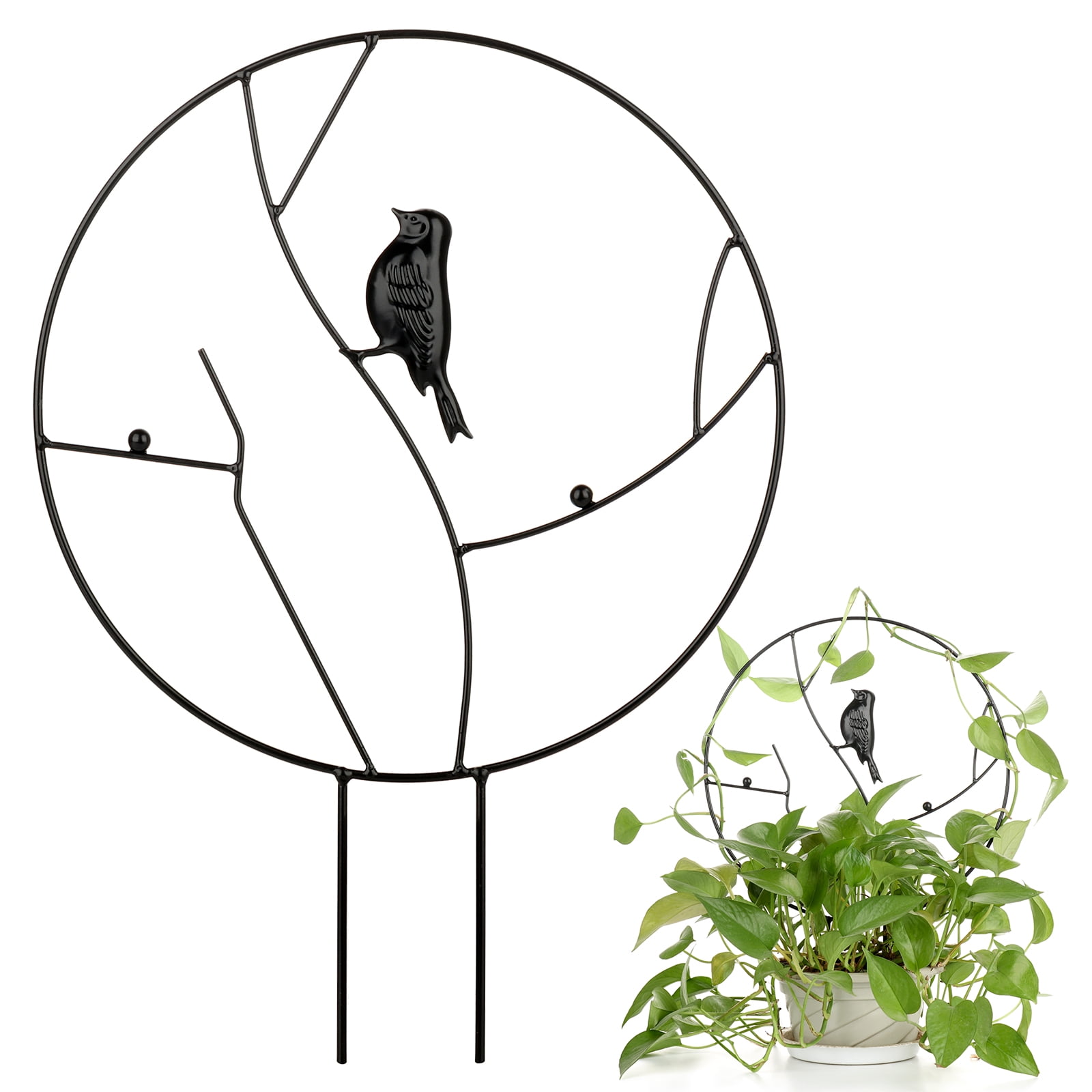 CreativeArrowy Metal Plant Stand Climbing Frame Support Garden Flower ...