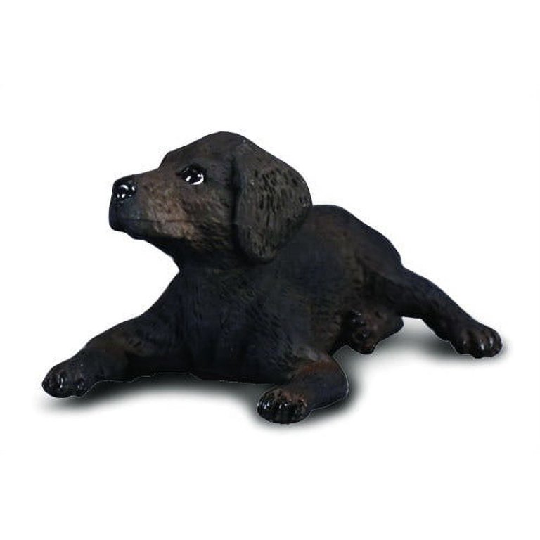 Miniature Black Lab Dog