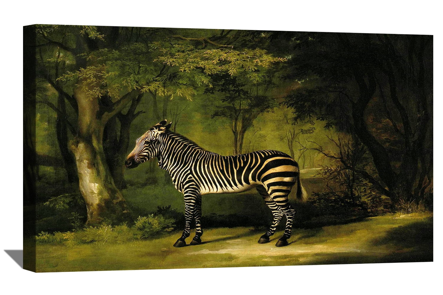 George Stubbs Paintings Sporting Art Print Zebra Canvas Art Framed Wall ...