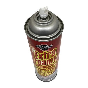 Carbona 2 in 1 Oxy-Powered Carpet & Upholstery Cleaner, 27.5 Fl Oz 3 ...