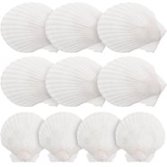 Decorative Sea shells Assortment Vase Filler, 20-piece - Walmart.com