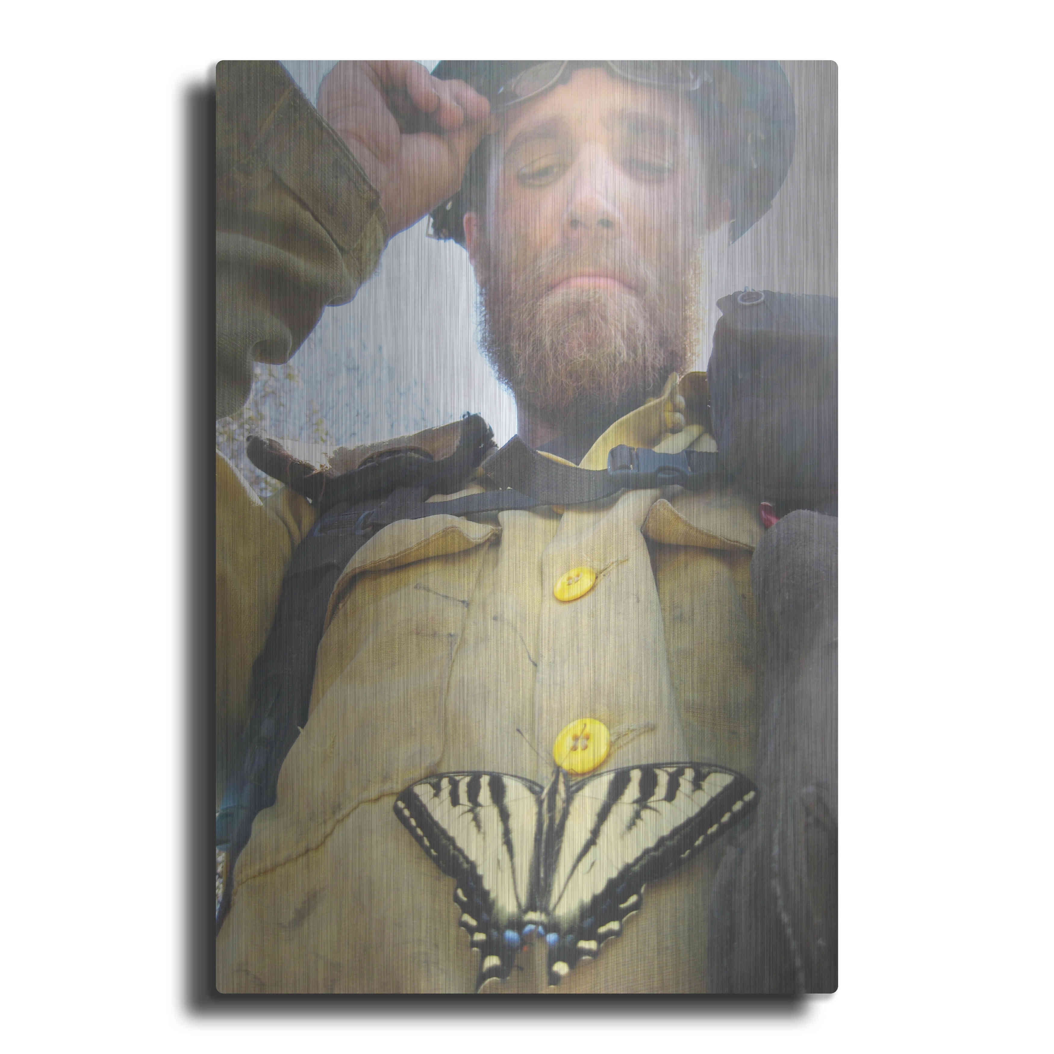 Luxe Metal Art 'Swallow tail' by Thomas Haney, Metal Wall Art, 12"x16 ...