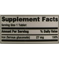 Major Ferate Elemental Iron 27mg, Ferrous Supplement, 100 Tablets ...