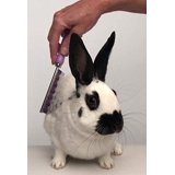Small Pet Select Hair Buster Comb - Walmart.com
