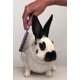 Small Pet Select Hair Buster Comb - Walmart.com