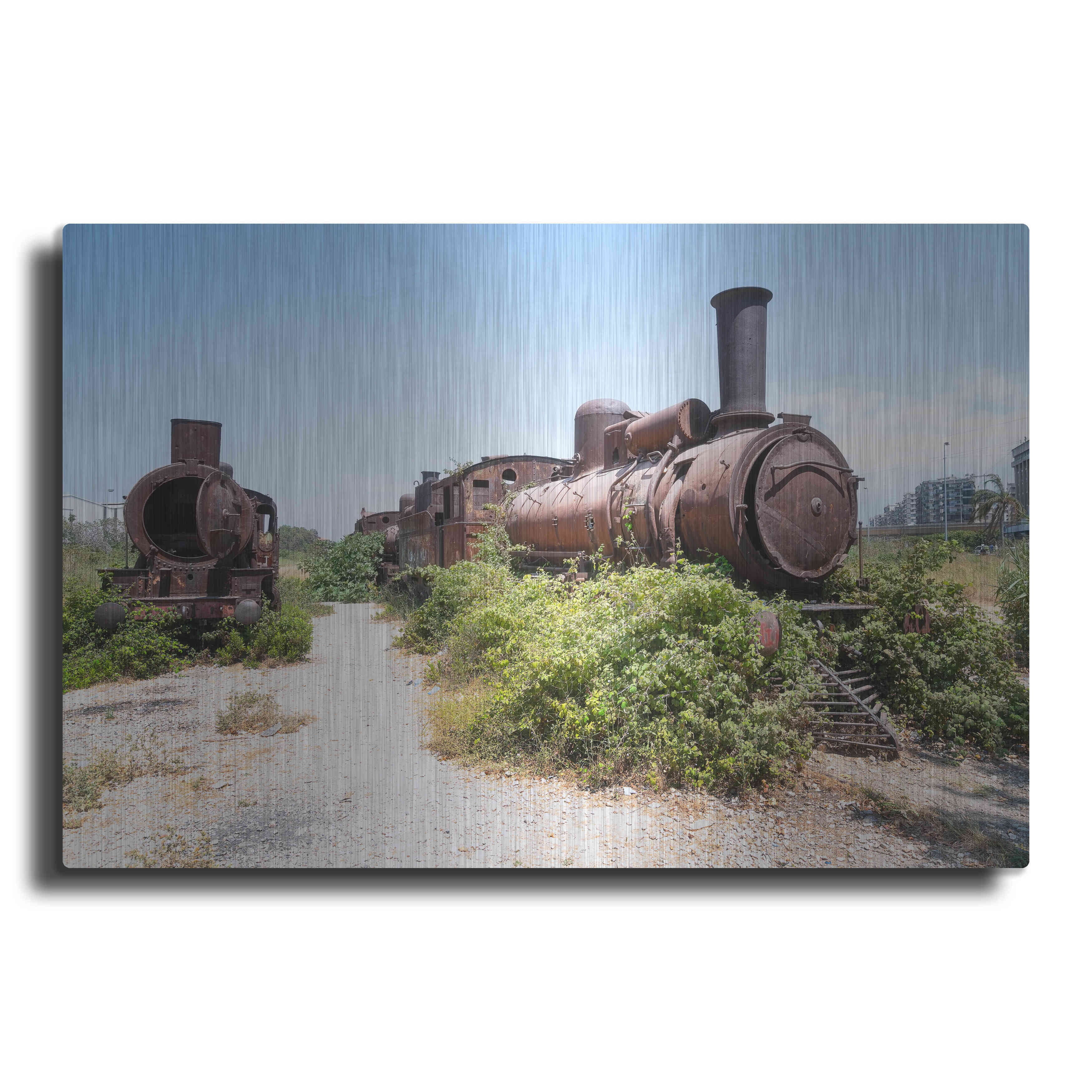 Luxe Metal Art 'Train Heritage' by Roman Robroek Metal Wall Art, 24"x16 ...