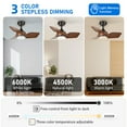 Dextrus 26 Inch Modern Ceiling Fans with Lights and Remote, Low Profile ...