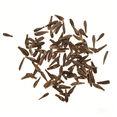 Dahlia seeds are simple to sow; they love full sunlight, frost ...