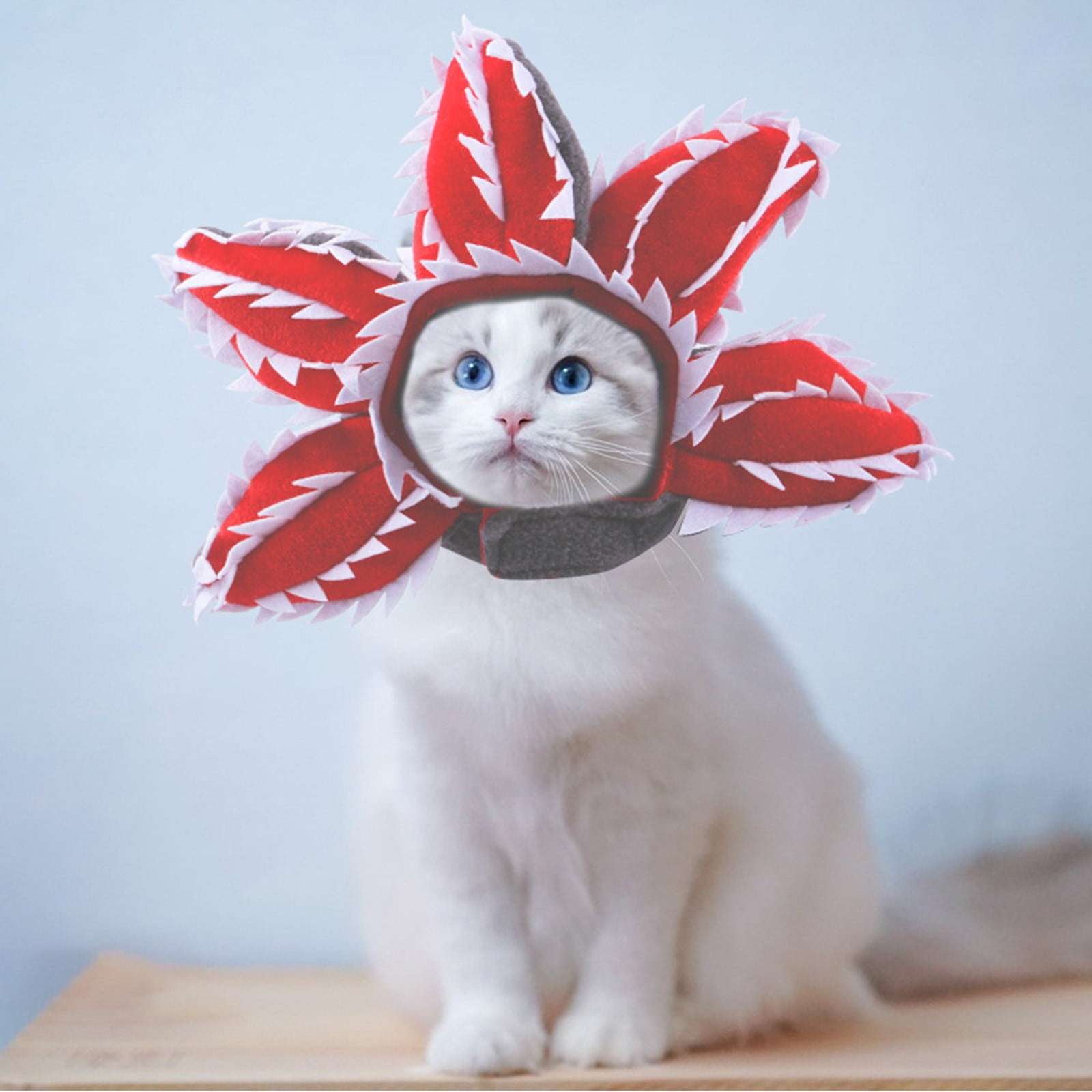 Click here for Hhsfeifuuu Pet Supplies Adorable Pet Outfit For Do... prices