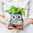 ACDANC Cute Owl Plant Pots Indoor,Succulent Pots,Resin Small Succulent ...