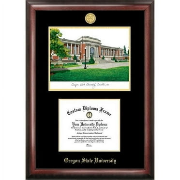 University of Wisconsin - Madison 8" x 10" Gold Embossed Diploma Frame with Campus Images ...