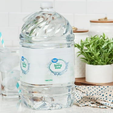 Chippewa Sport Spring Water, 20 Fl. Oz. - Walmart.com