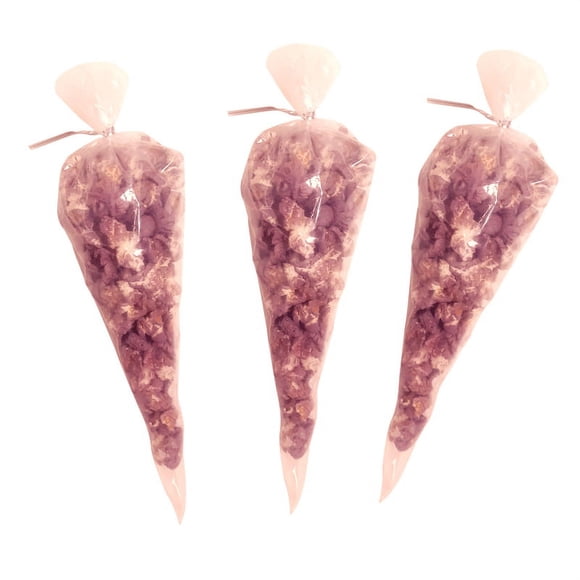 Popcornopolis Mini Cones Pack