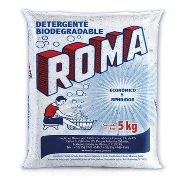 Detergente en polvo multiusos Maestro Limpio 1 Kg | Walmart en línea