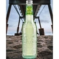 Galvanina - Ginger Ale - Premium Organic Italian Sparkling Soda - 12 fl ...