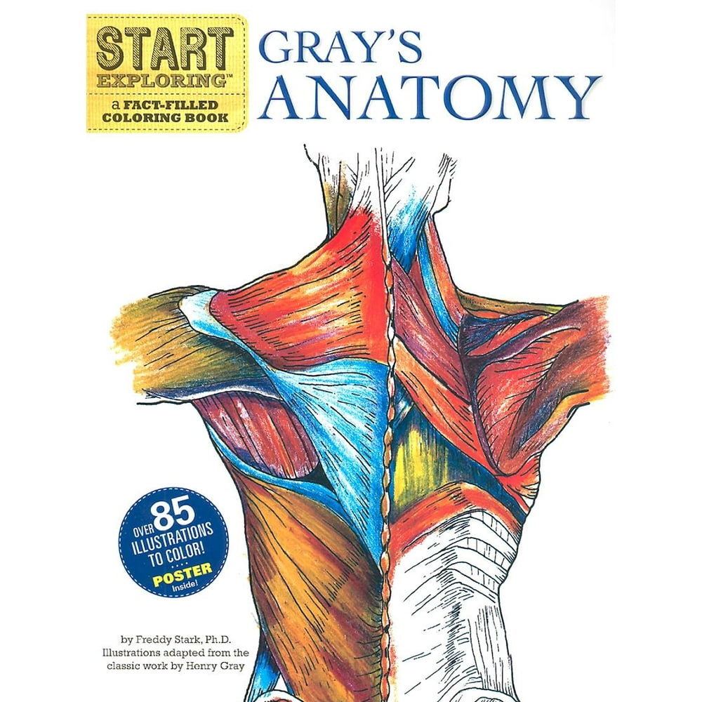 Gray's Anatomy : A Fact-Filled Coloring Book - Walmart.com - Walmart.com