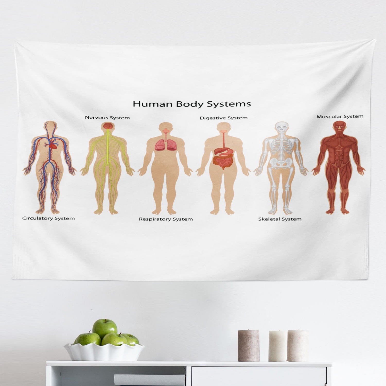 Human Anatomy Tapestry, Grunge Old Parchment Effect Skeleton Muscles of ...