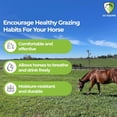 GG Equine Grazing Muzzle for Horse - Lighter, Durable Horse Accessories ...