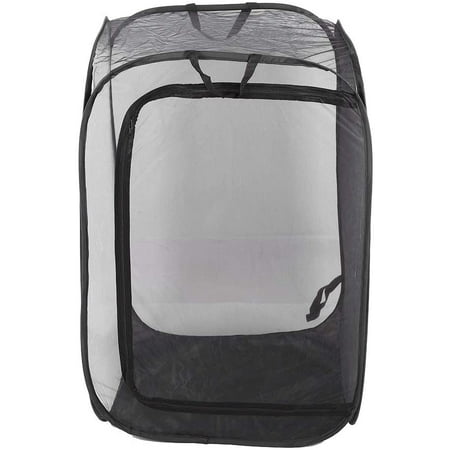 Foldable Stick Insect Cage, Insect and Butterfly Habitat Cage Butterfly ...