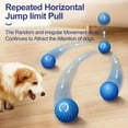 Interactive Gravity Bouncing Ball-Durable Chew Ball With Automatic ...