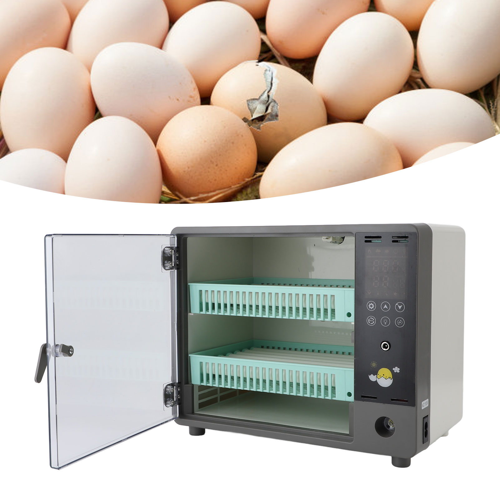 Automatic Egg Incubator Holds 24 Eggs with Intelligent Control, Energy ...