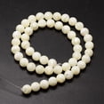 2Strand Natural Sea Shell Beads Strands Round Creamy White 8mm Hole: 1 ...