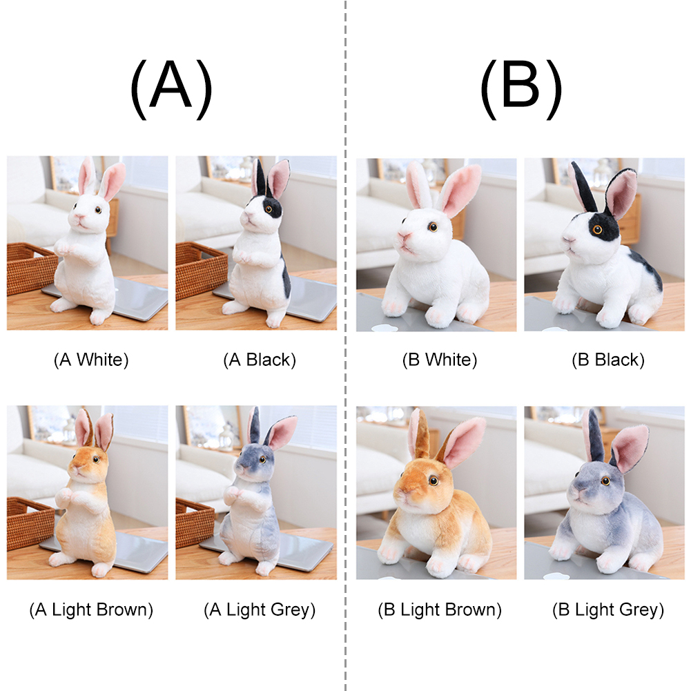 Different Types Of Rabbits With Pictures And Names | ppgbbe.intranet ...