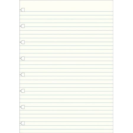 Filofax A5 Notebook Ruled Paper Refill - Walmart.com