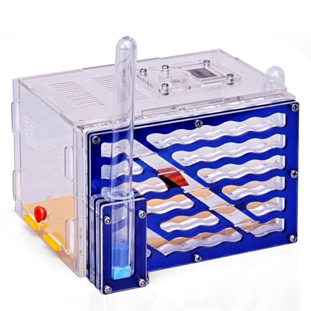 Click here for Amdohai Cg1233 Diy House 5-Layer Acryl Ants Farm W... prices