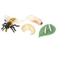 1 Set Educational Simulation Insect Model Bee Growth Cycle Miniature ...