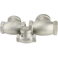 Swing Check Valve, 304 Stainless Steel, BSPT Female, 1/2 to 2 in ...