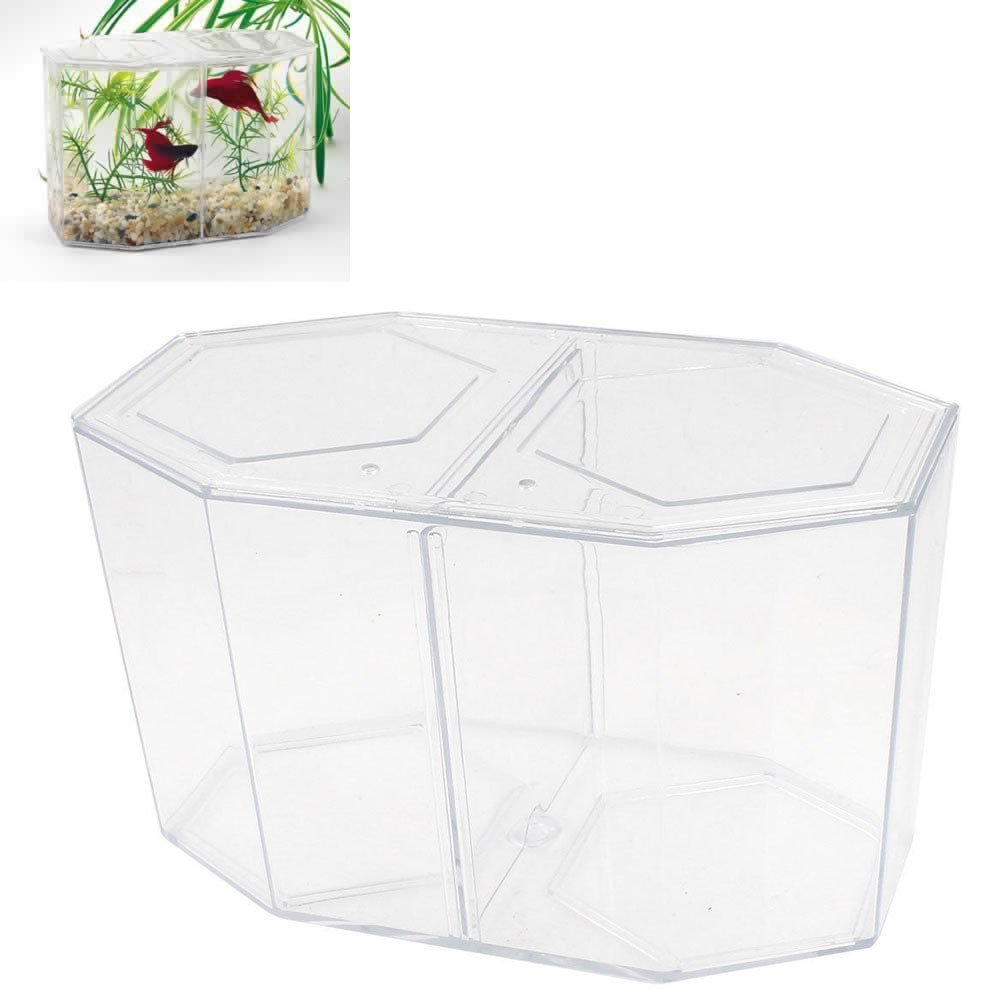 1 Dual Betta Hex Kit Tank Pet Aquatic Fishes Aquarium Habitat Office ...
