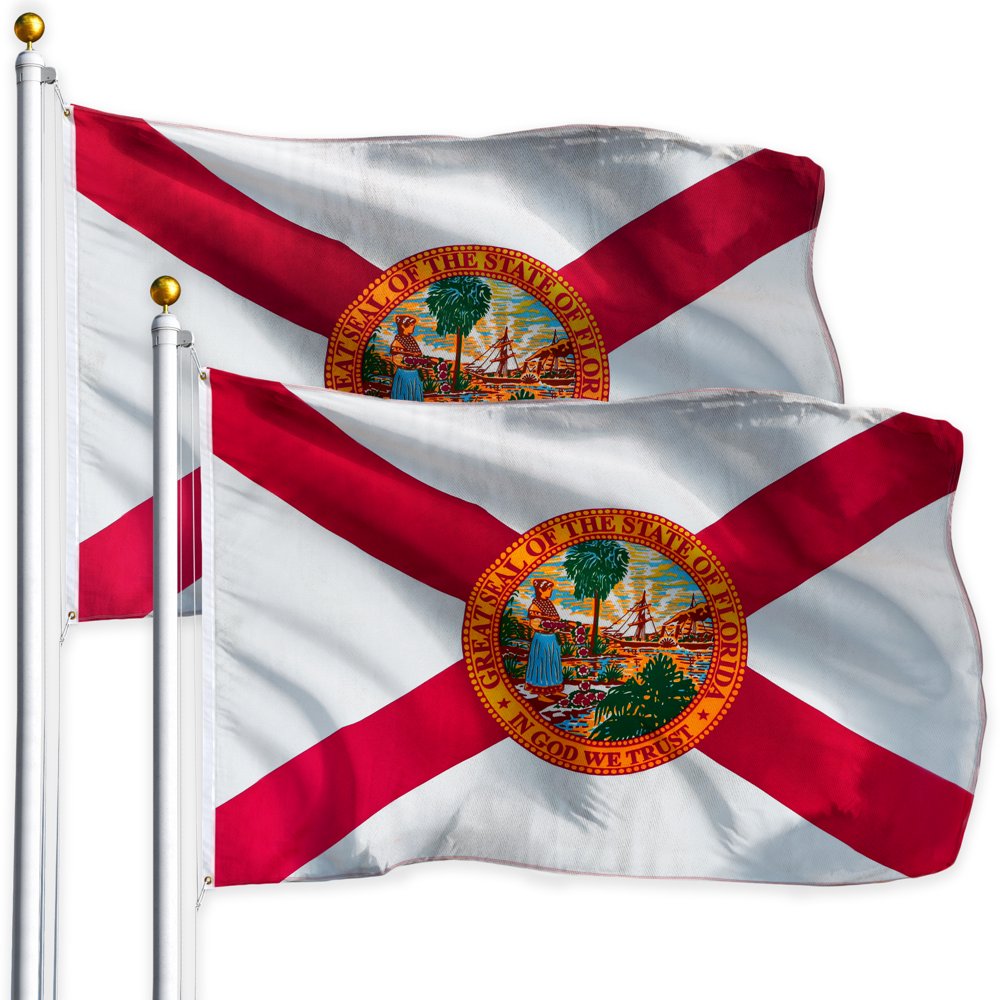 G128 TWO PACK Of 3X5 FLORIDA STATE FLAG FL FLAGS US STATES Walmart g128-two-pack-of-3x5-florida-state-flag-fl-flags-us-states-walmart