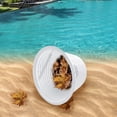 Durability Inground Pool Filter Basket Wear Skimmer Basket Swimming ...