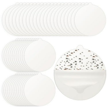 Syngenta Demon WP Insecticide, Roach Killer Powder for Spiders and ...