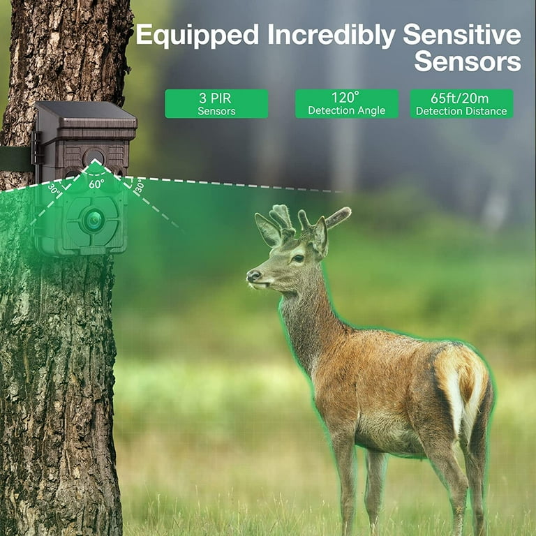 Deer Hunting Cameras