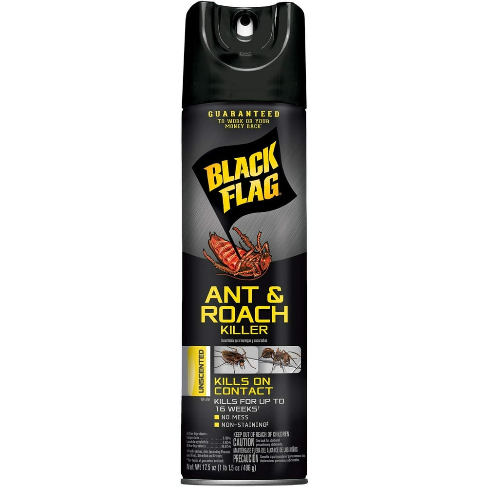 Black Flag Ant And Roach Killer Aerosol Spray Unscented 175 Ounce
