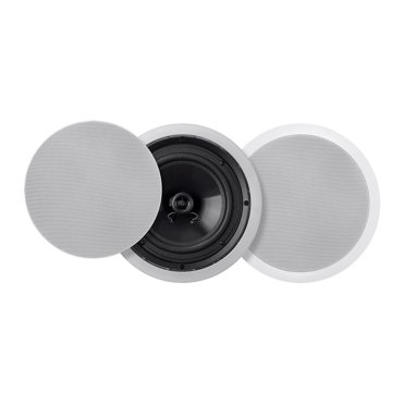 TIC Corporation GS3 8" 200-watt Pro Omni Speaker - Walmart.com