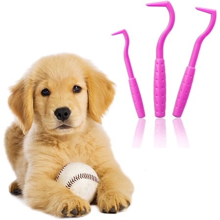 Tick hook Tick pliers | Different Hooks for All Sizes of Ticks | Remove ...