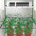 4 x 4 Ft Elastic Plant Trellis Net - 2-Pack Heavy Duty Garden Support ...