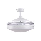 Fanaway Evo2 Retractable 4-blade Lighting with Remote Ceiling Fan ...